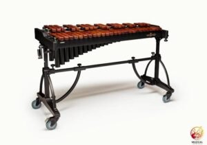 How Many Bars a Xylophone Has? A Simple Guide for Curious Musicians