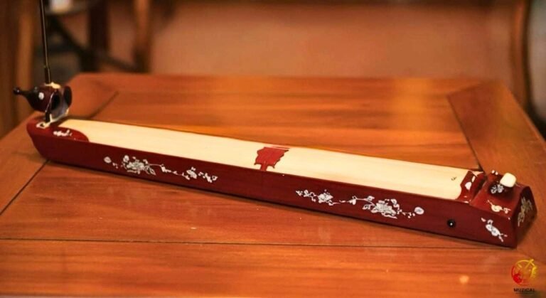 What is a Dan Bau? Your Guide to Vietnam’s Magical Single String Instrument