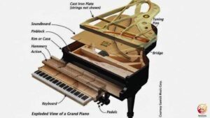 Essential Parts of a Piano Every Beginner Should Know